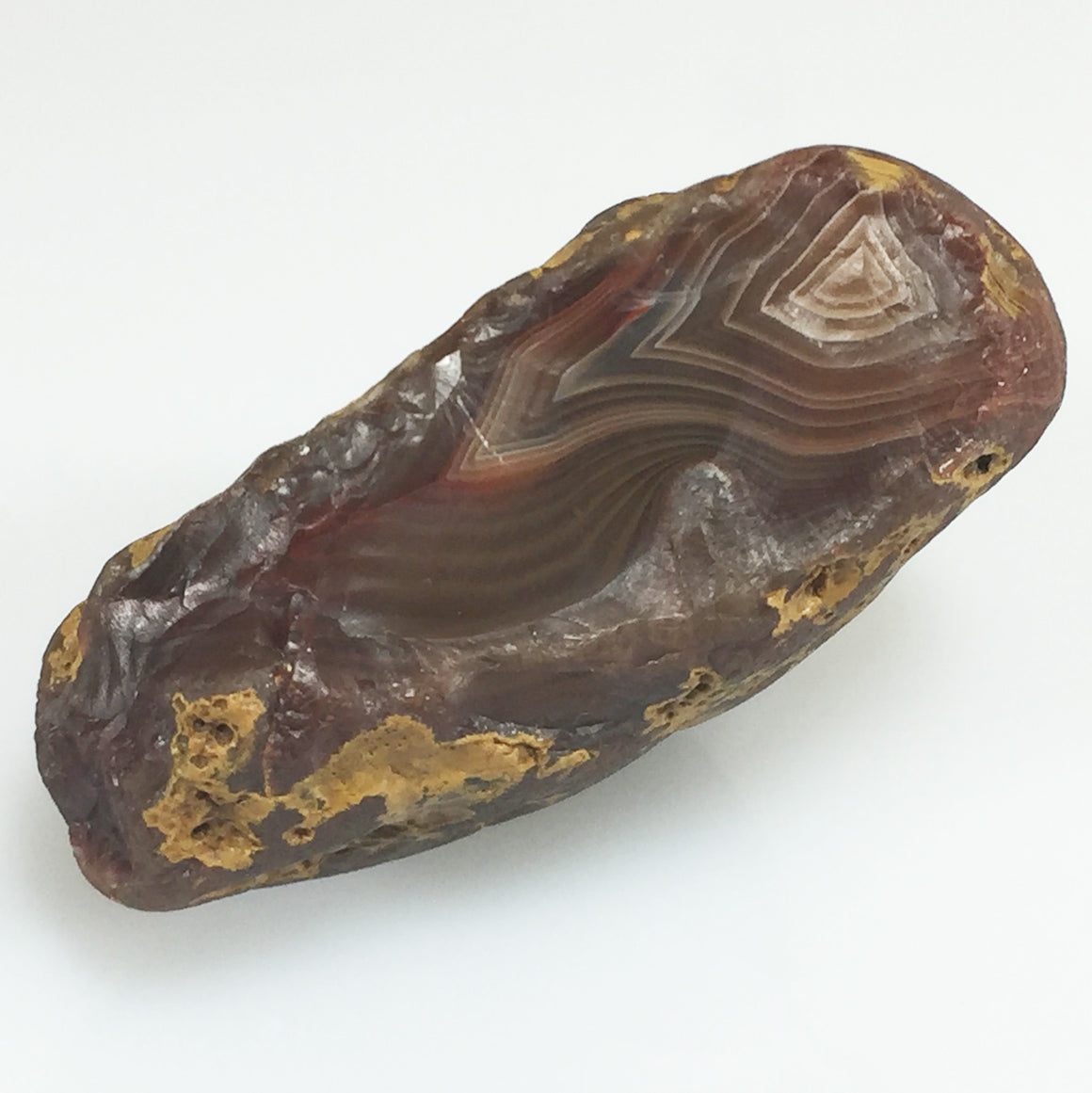 Individual Lake Superior Agates – Wayne's World Agates